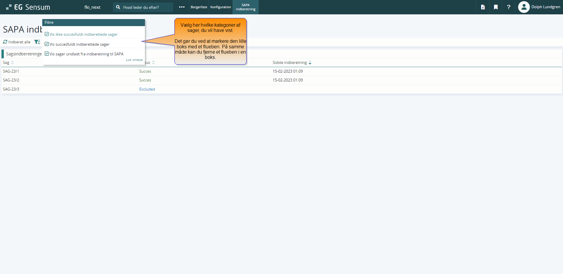 Overblik over indberetninger til SAPA